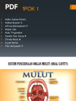Struktur dan Fungsi Anatomi Mulut | PDF