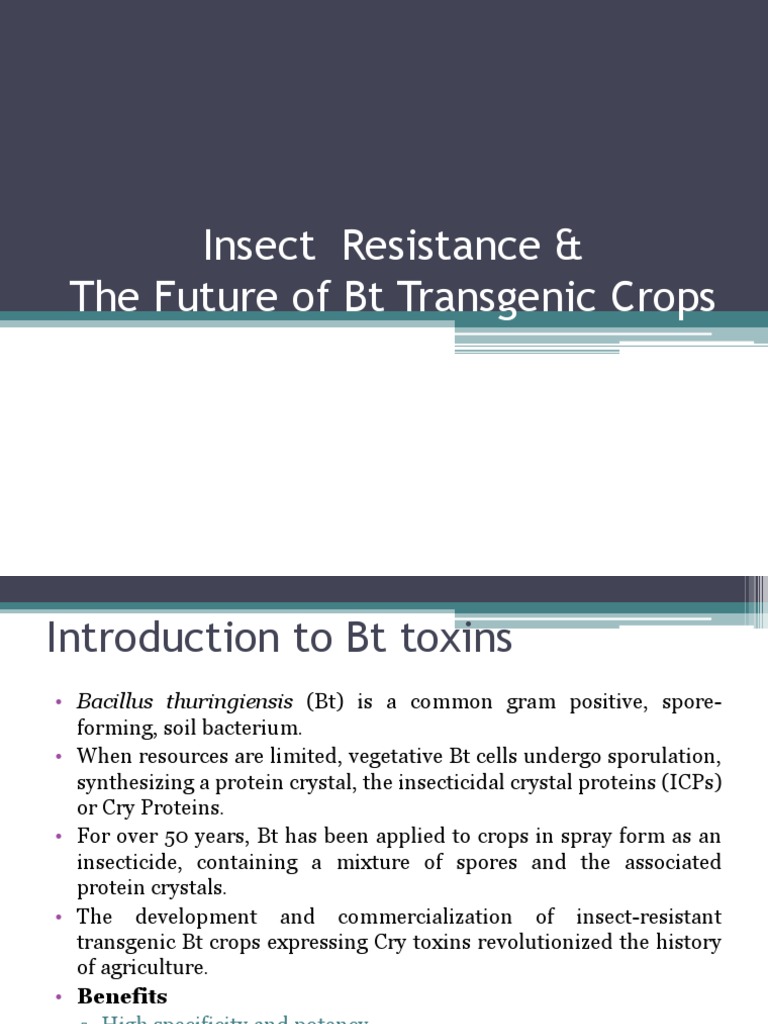 Insect Resistance & The Future of BT Transgenic Crops | PDF ...