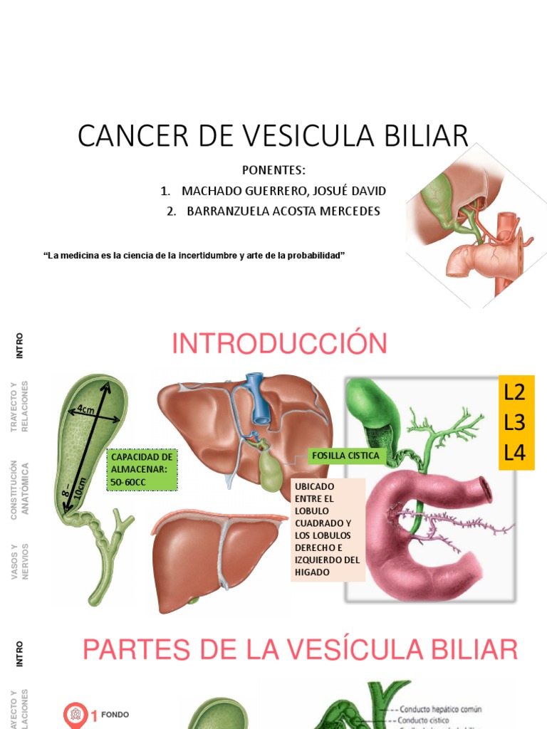 Cancer de Vesicula Biliar | PDF | Abdomen | Enfermedades y trastornos