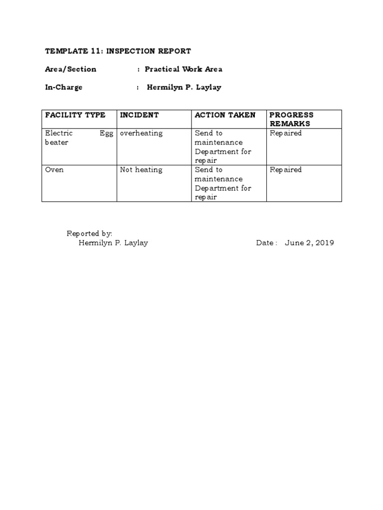 Template 11: Inspection Report Area/Section: Practical Work Area In ...