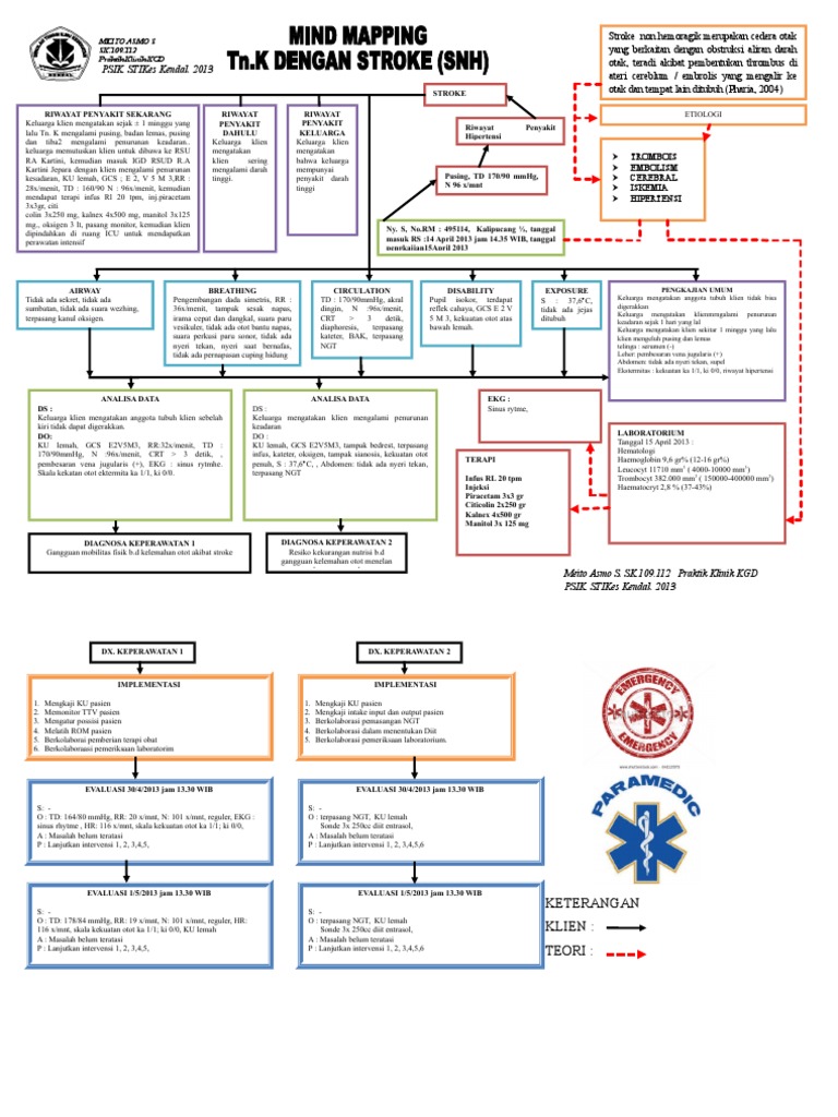 Mind Mapping SNH ICU | PDF