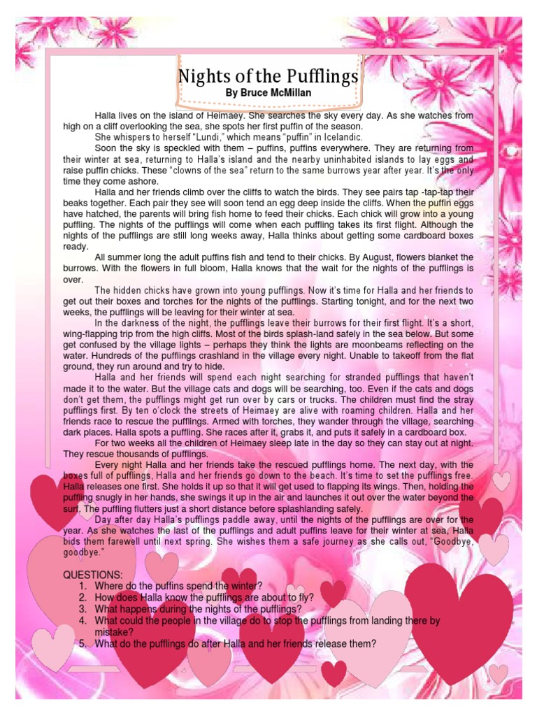 Nights of The Pufflings: by Bruce Mcmillan | PDF | Paravians | Birds