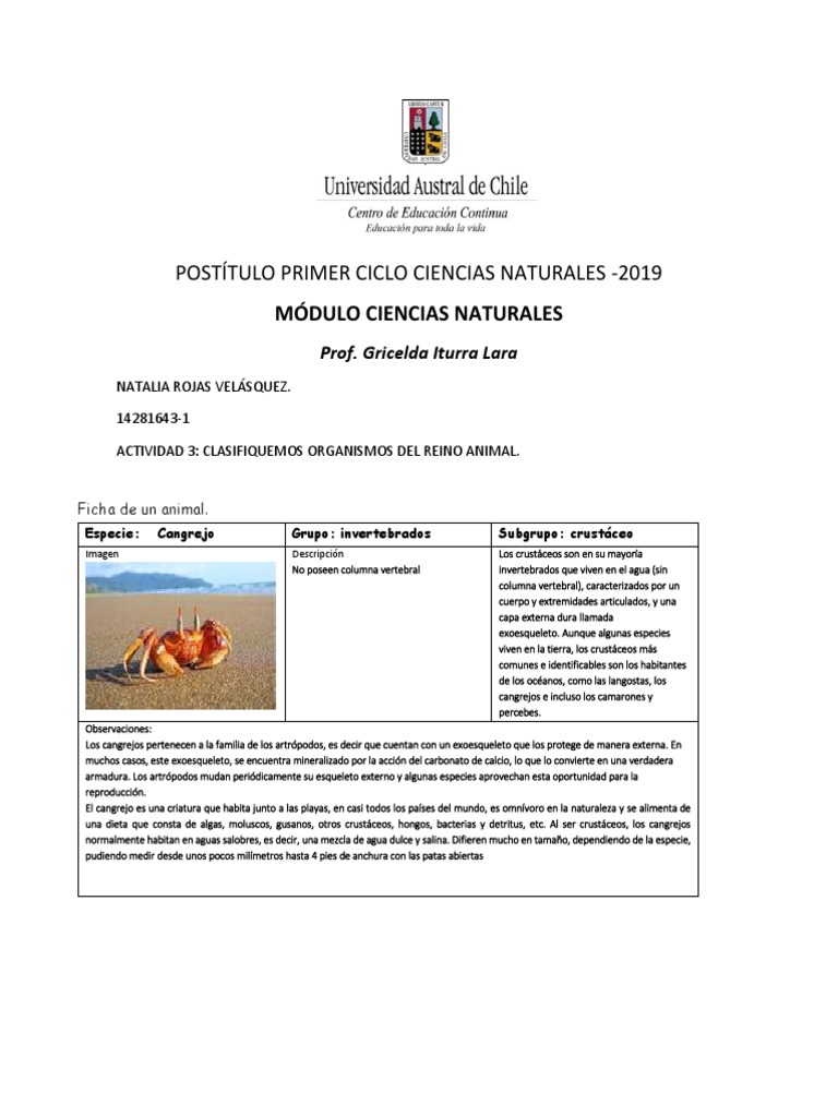 Ciclo de Vida del Cangrejo | PDF | Crustáceo | Organismos