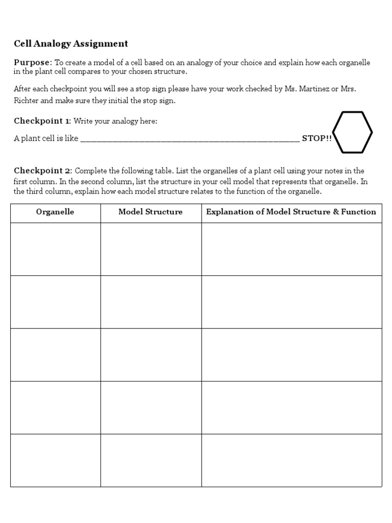 Plant Cell Analogy Project Guide | PDF | Organelle | Cell (Biology)