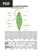 Monsoon Lesson Plan | PDF | Language Arts & Discipline | Science ...
