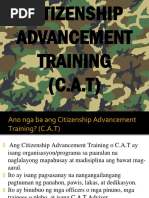 Cat Ranks | PDF | Staff (Military) | Battalion