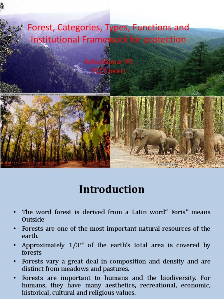 Project On Forest Cover | PDF | Atmosphere Of Earth | Carbon Dioxide