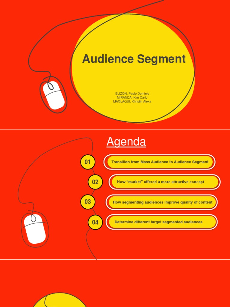 Mass Audience To Segmented Audience | PDF | Social Science