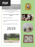 Guia Tecnica para Colecta y Preservacion de Insectos V Final | PDF ...