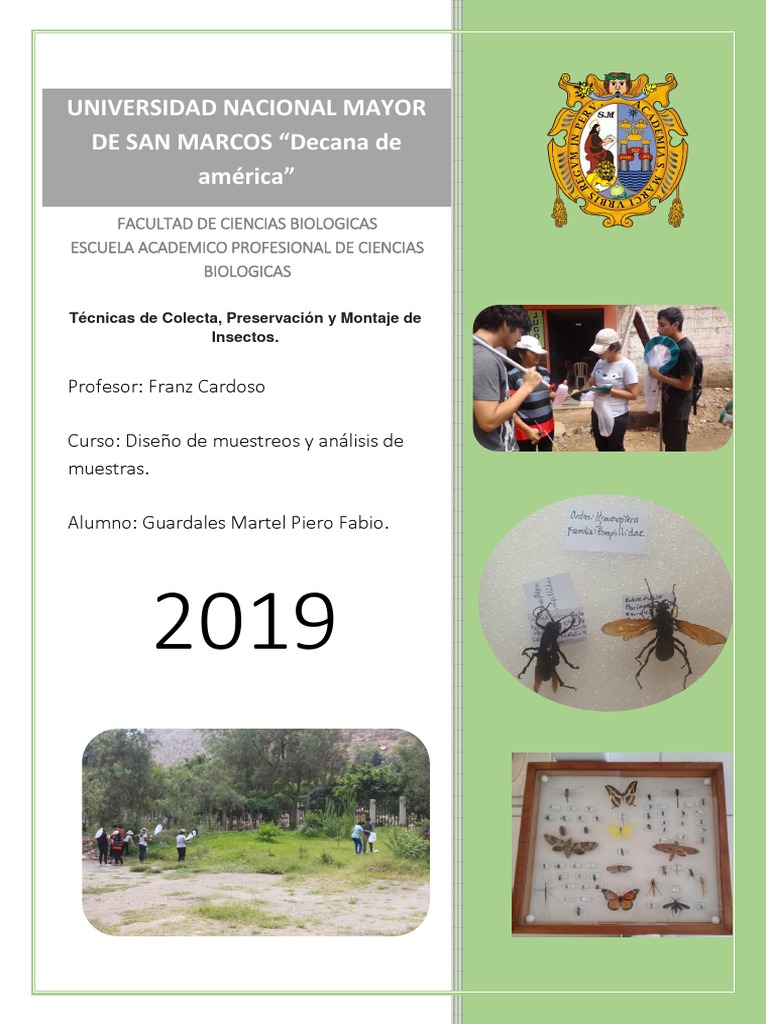 Caja Entomologica | PDF | Insectos | Conservación