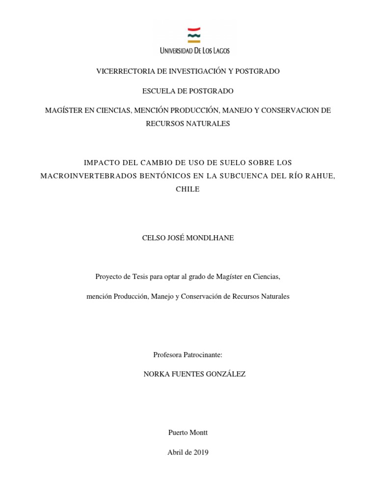 Anteproyecto Modificado - Celso Mondlhane 11.07.19 | PDF | Suelo | Ecosistema