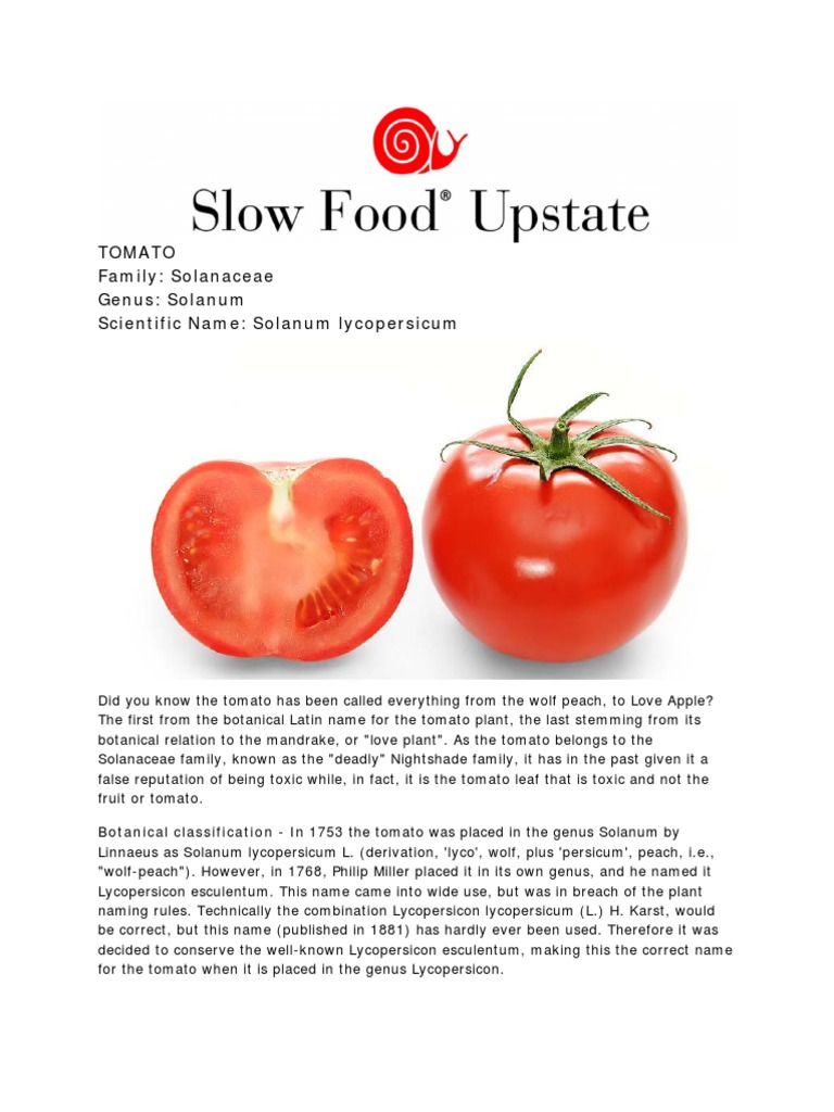 Tomato | PDF | Tomato | Heirloom Plant