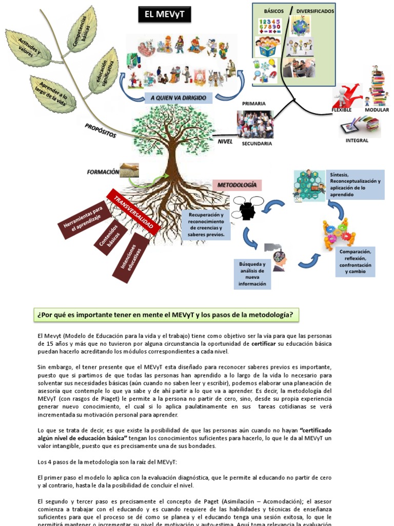 MEVYT | PDF | Educación primaria | Evaluación