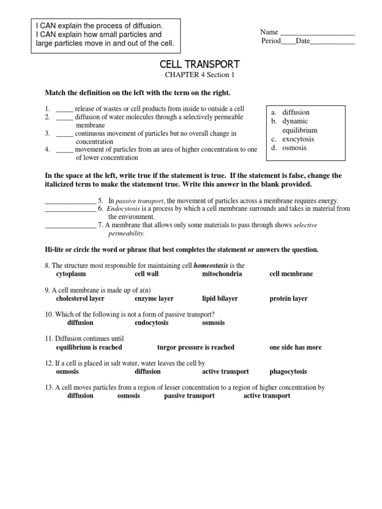 Cell Transport: Match The Definition On The Left With The Term On The ...