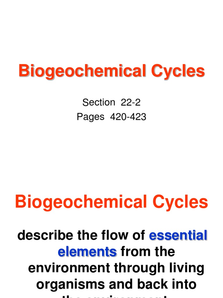 Biogeochemical Cycles | PDF | Ammonium | Water