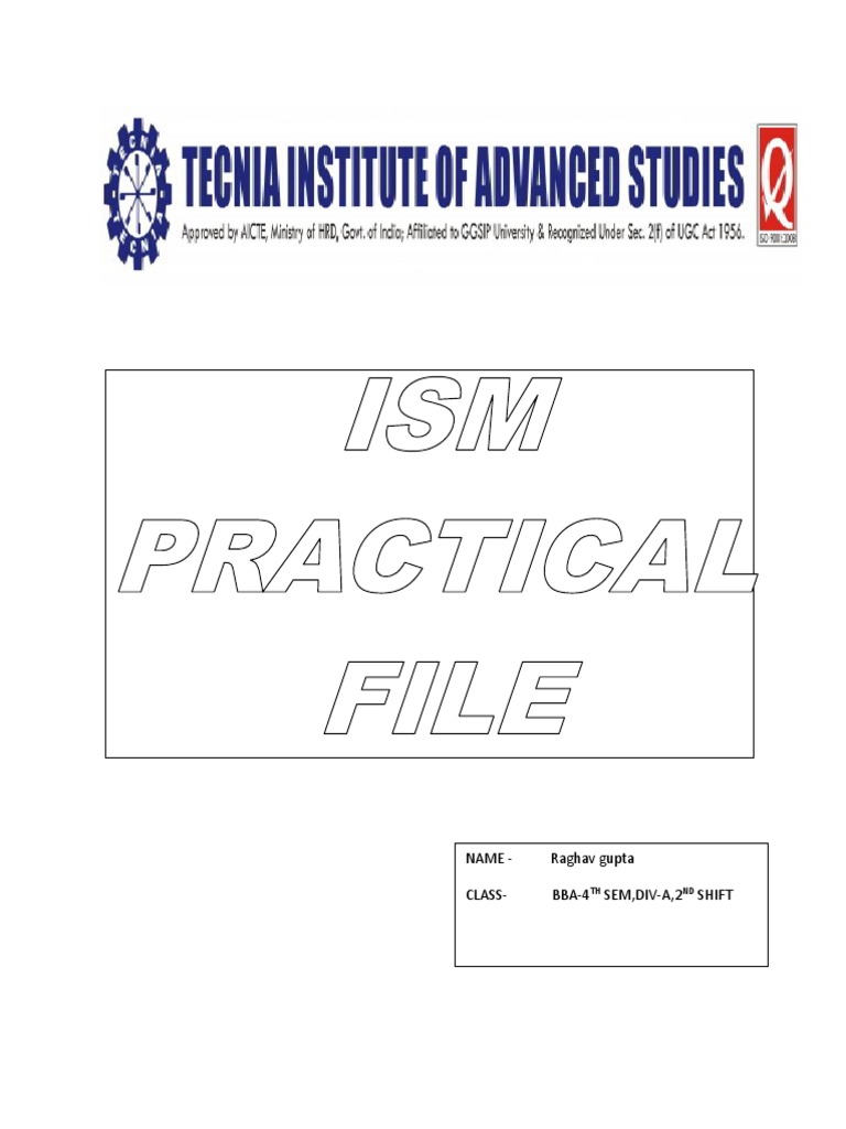 Ism Practical File Pdf String Computer Science Integer Computer Science