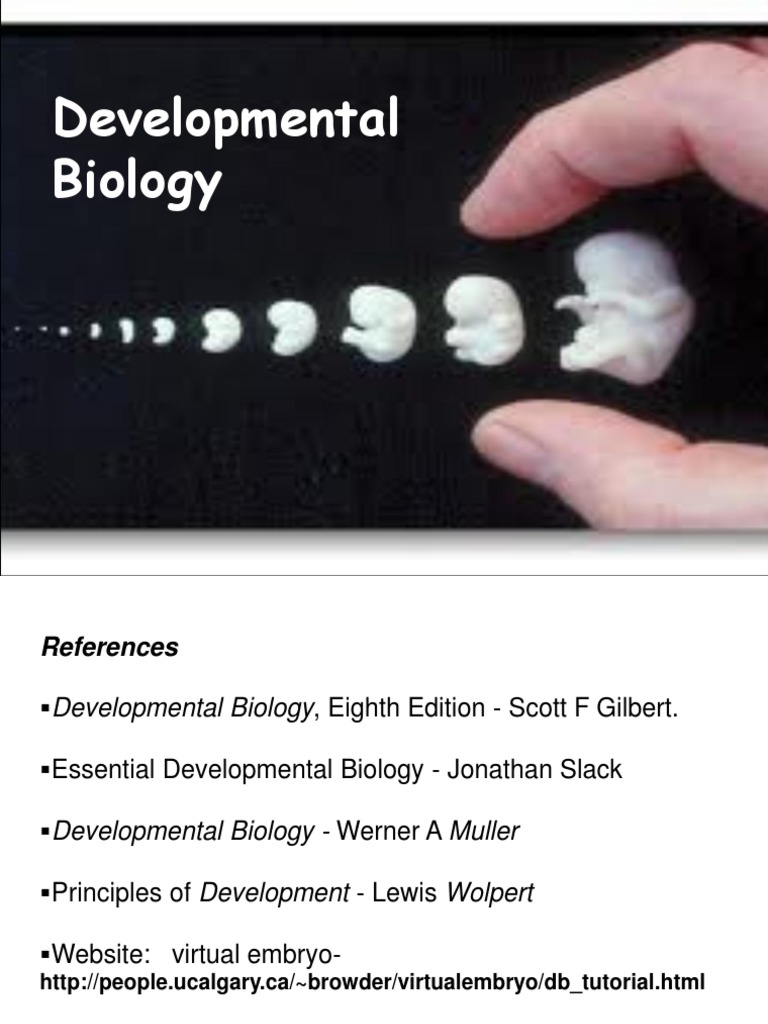 An Overview of the Fundamental Concepts and Historical Development of ...