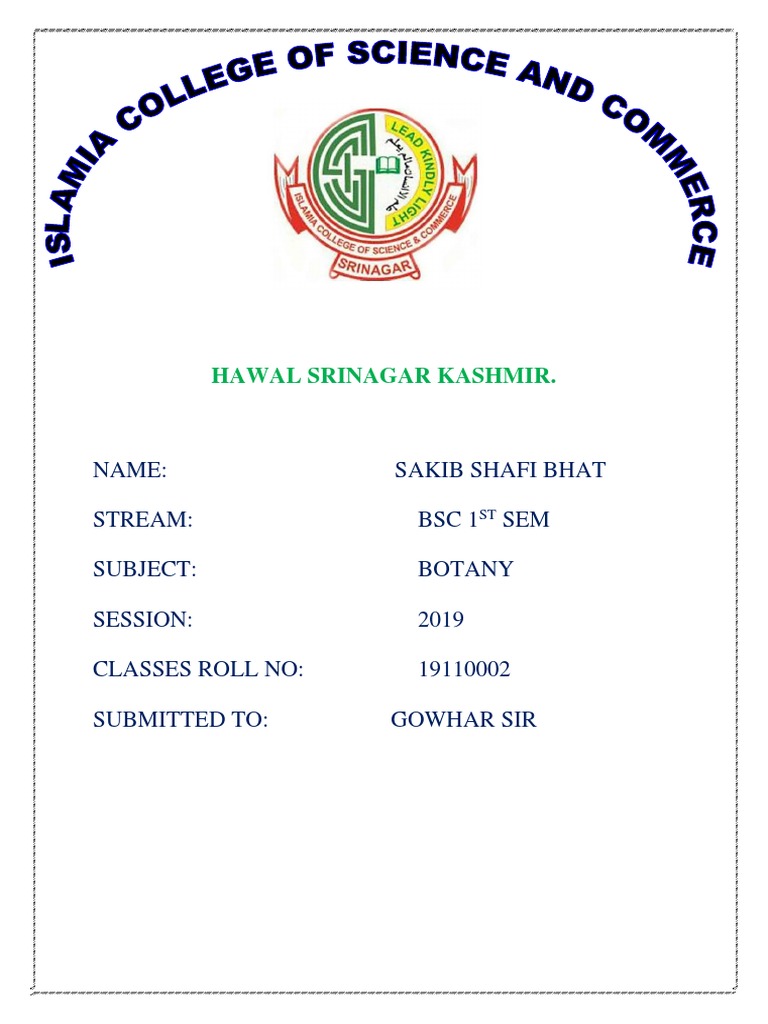 Hawal Srinagar Kashmir | PDF