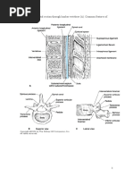 Aetna Injection Policy for Back Pain | PDF | Vertebral Column | Back Pain