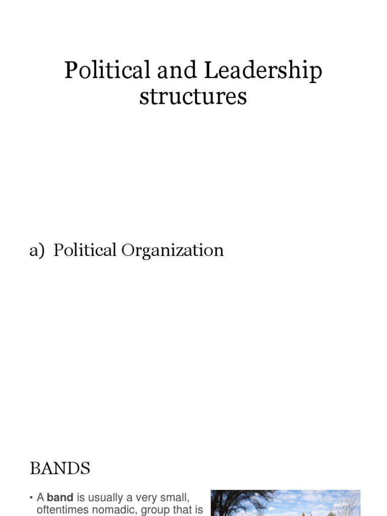 Political and Leadership Structures | PDF