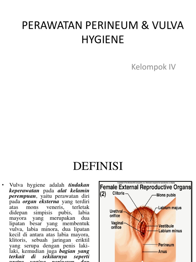 Power Point Perawatan Perineum & Vulva Hygiene | PDF | Kesehatan Holistik