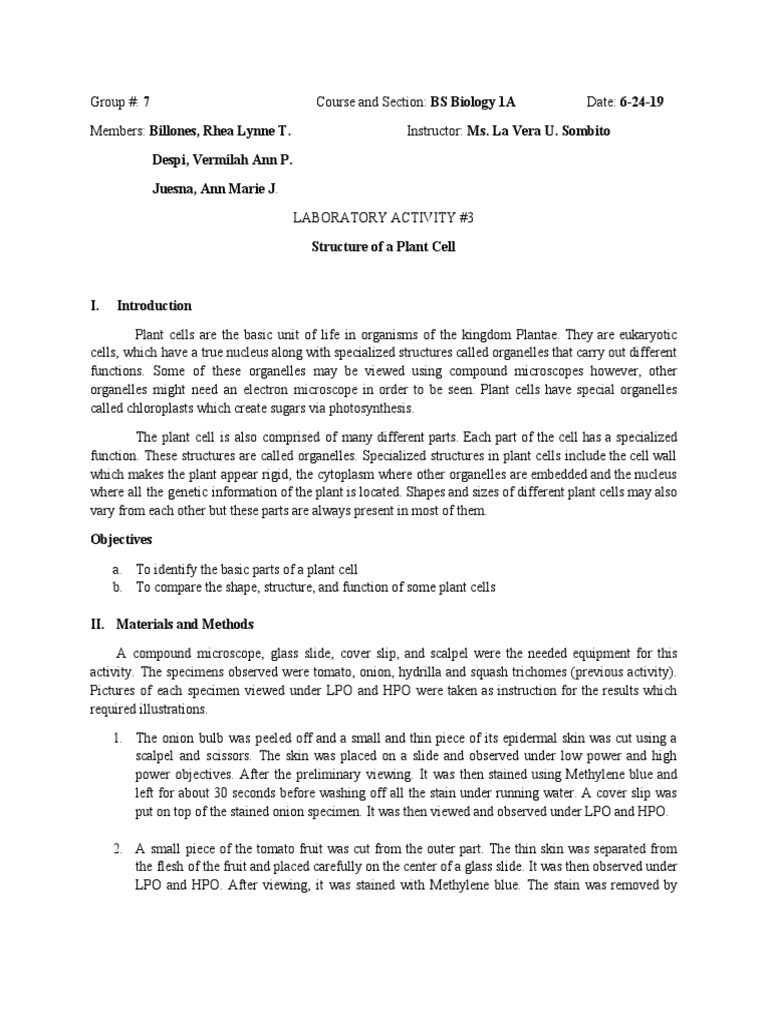 Plant Structure Lab Report 3 PDF | Cell (Biology) | Staining