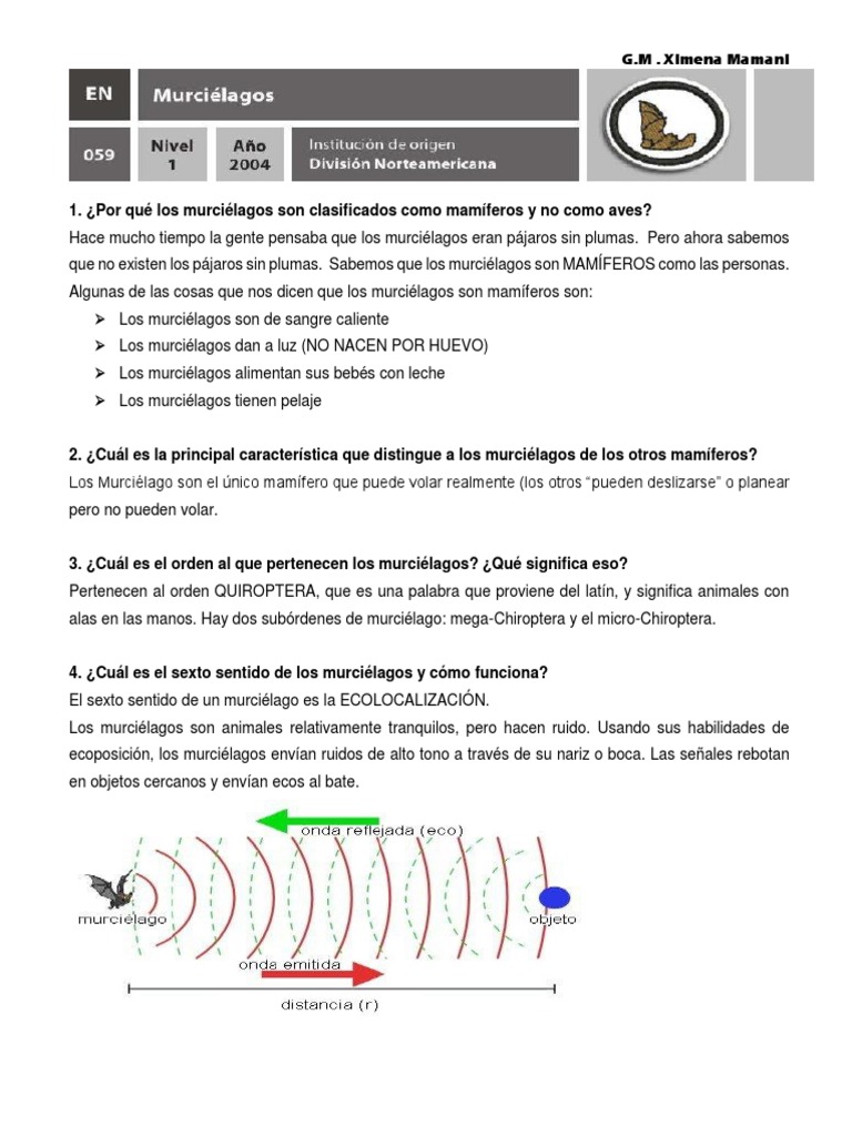 Especialidad Murciélagos Desarrollada | PDF | Murciélago | Insectos