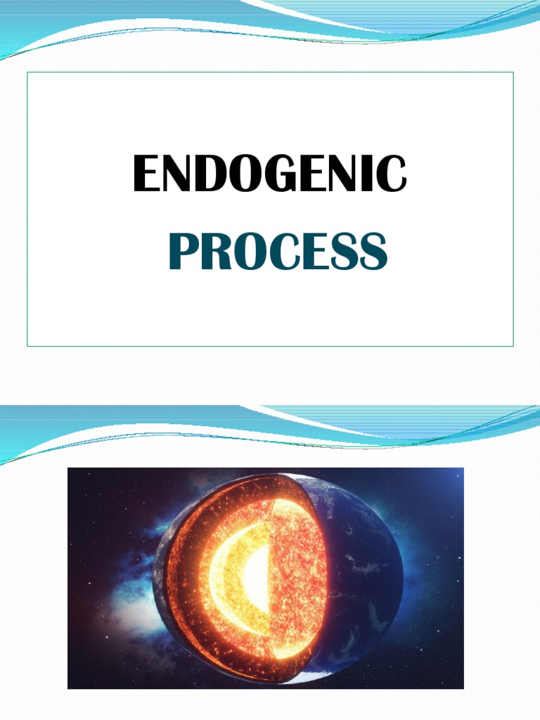 Endogenic Process | PDF