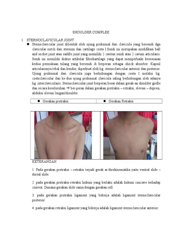 SHOULDER | PDF | Sains & Matematika