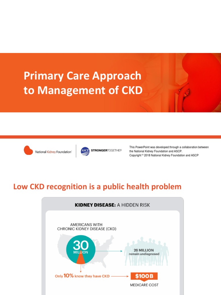 An Overview of CKD Professionals | PDF | Renal Function | Chronic ...