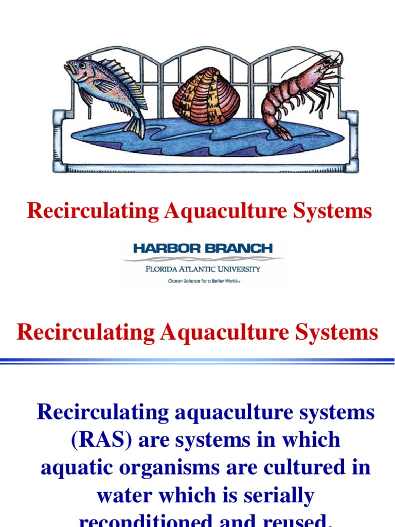 Recirculating Aquaculture Systems | PDF | Aquaculture | Aquarium