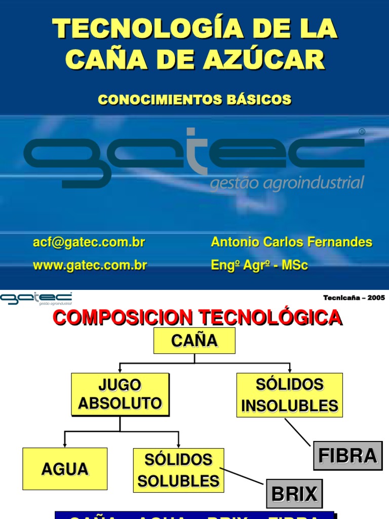 Azucar | PDF | Carbohidratos | Sacarosa