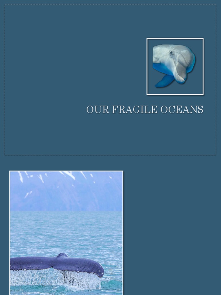 Powerpoint Weebly | PDF