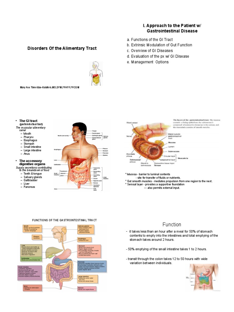 Disorders of The Alimentary Tract | PDF | Gastrointestinal Tract ...