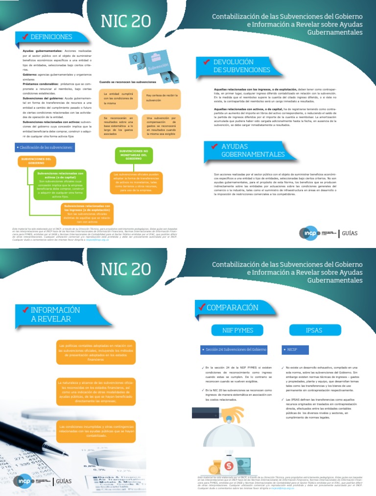 Nic 20 | Descargar gratis PDF | normas internacionales de INFORMACION ...