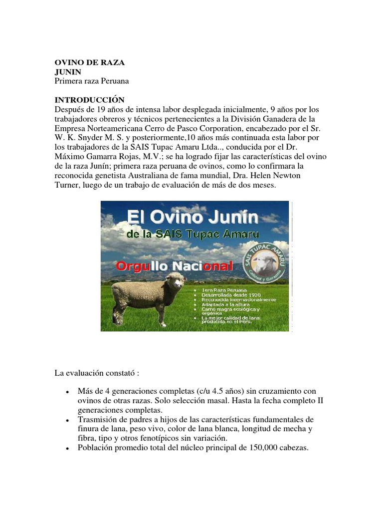 La raza ovina Junín: Características y desarrollo de la primera raza de ...