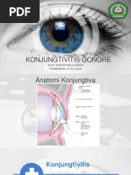 Anatomi dan Fisiologi Konjungtiva Mata | PDF