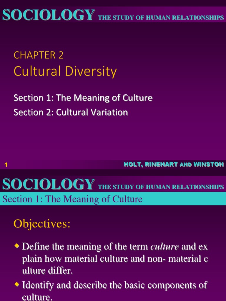 Exploring the Concepts of Culture, Cultural Variation, Ethnocentrism ...