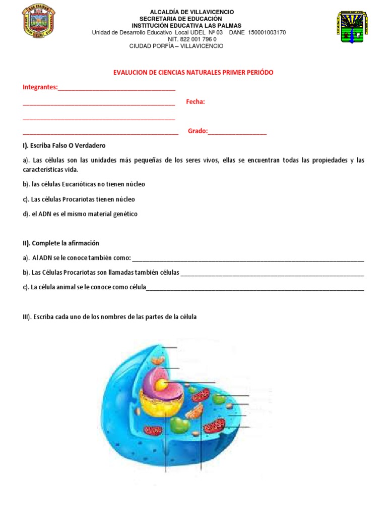 EVALUACIÓN CELULA | Célula (Biología) | ADN