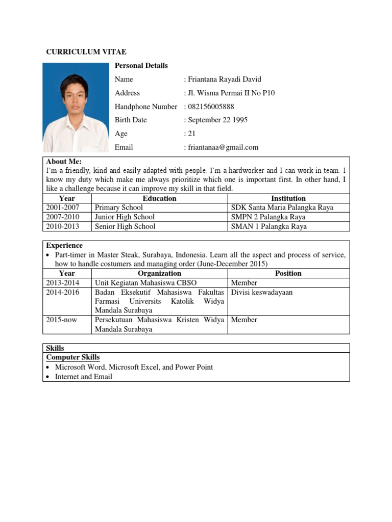 Curriculum Vitae Rian | PDF