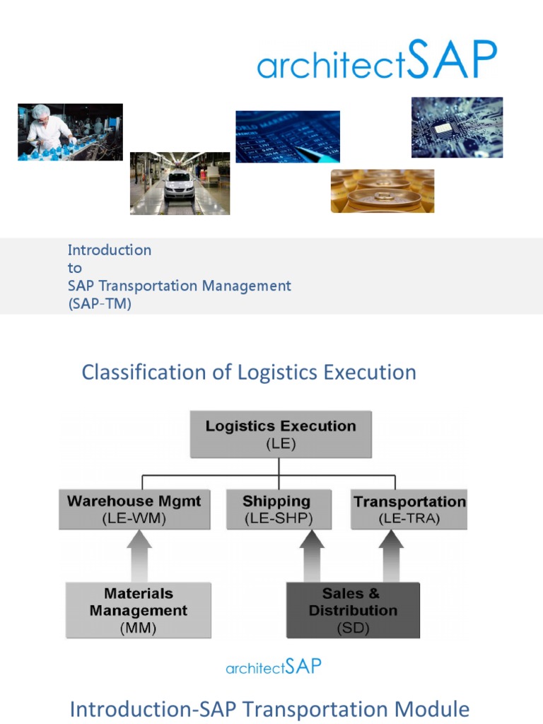 intro to sap transportation management.pdf | Freight Transport | Transport