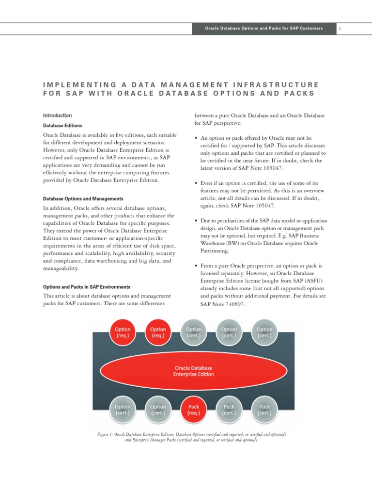 Sap Database Options Pdf Oracle Database Databases