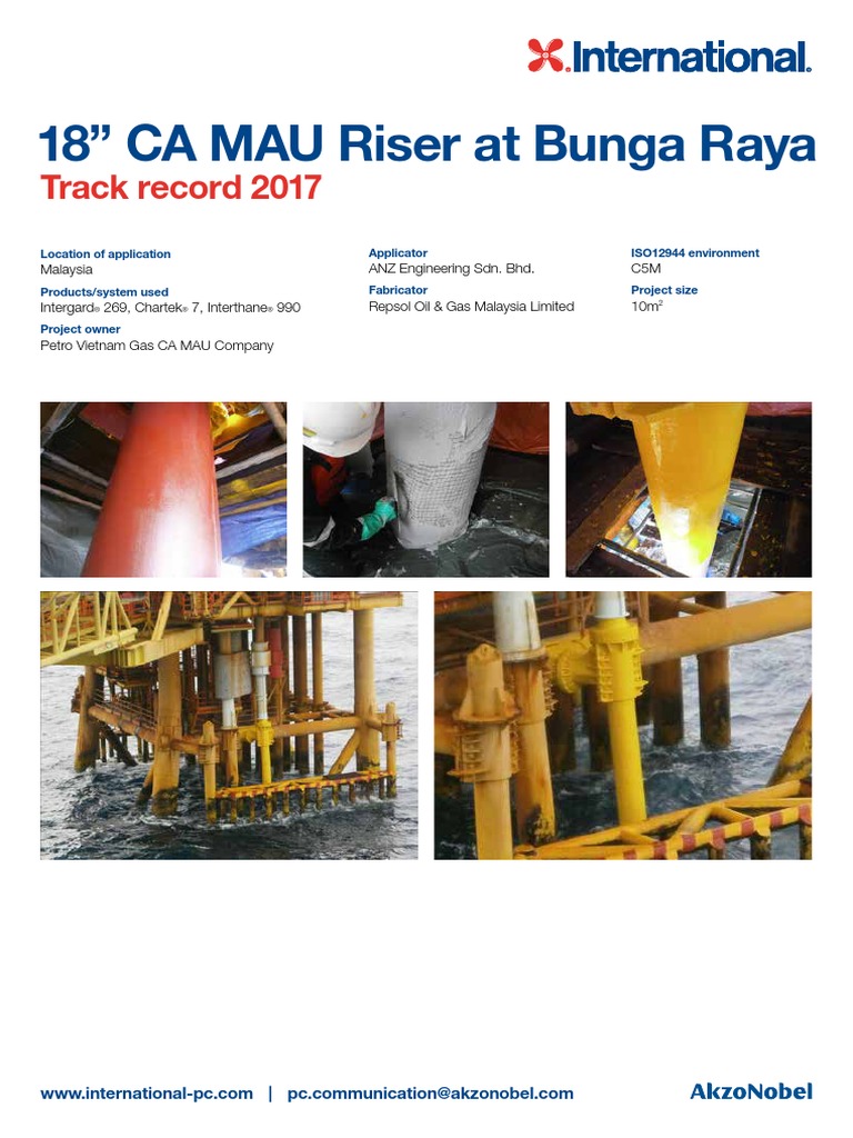 Riser | PDF | Energy And Resource | Nature