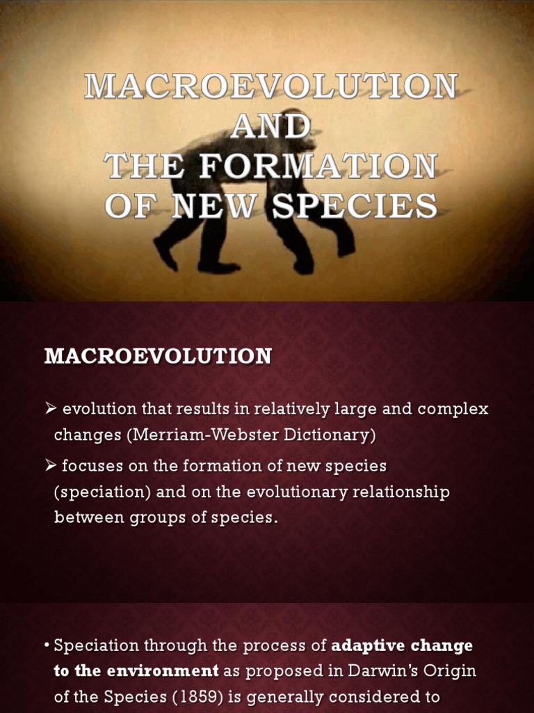 Macroevolution and The Formation of New Species | PDF