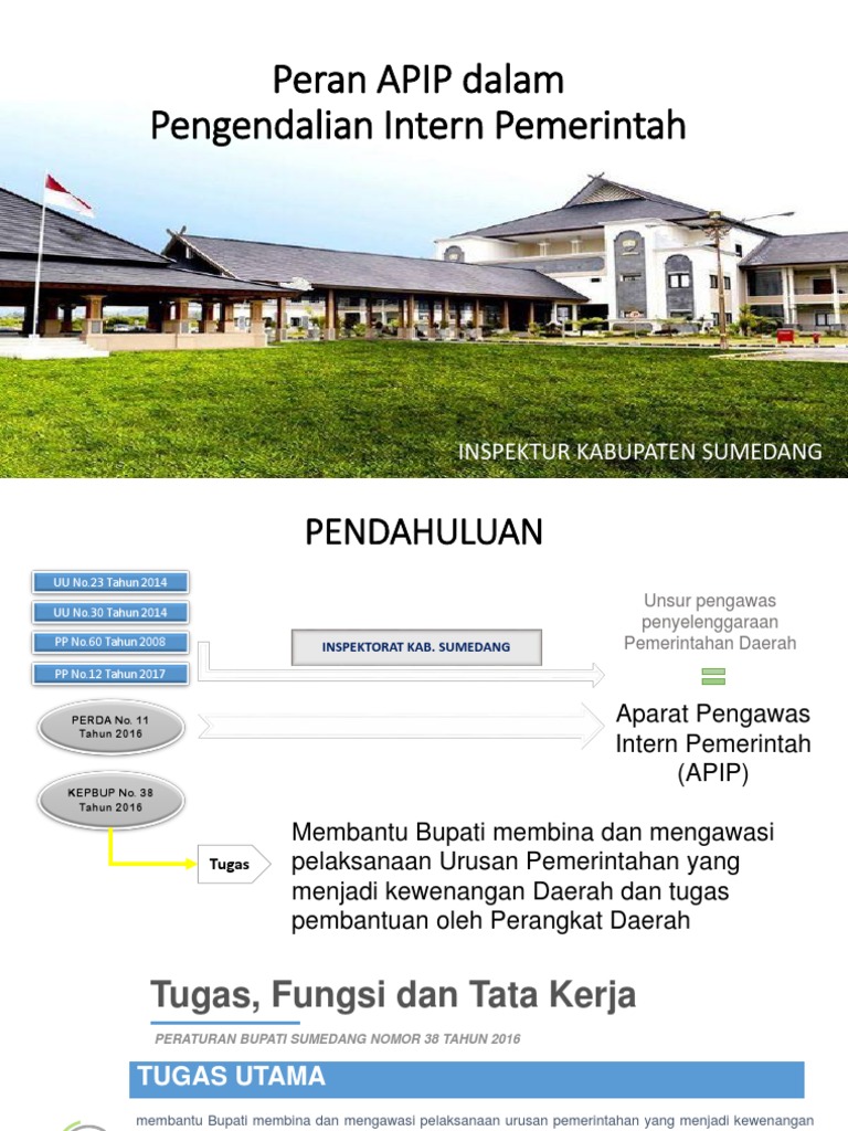 Peran APIP Dalam Pengendalian Intern Pemerintah | PDF