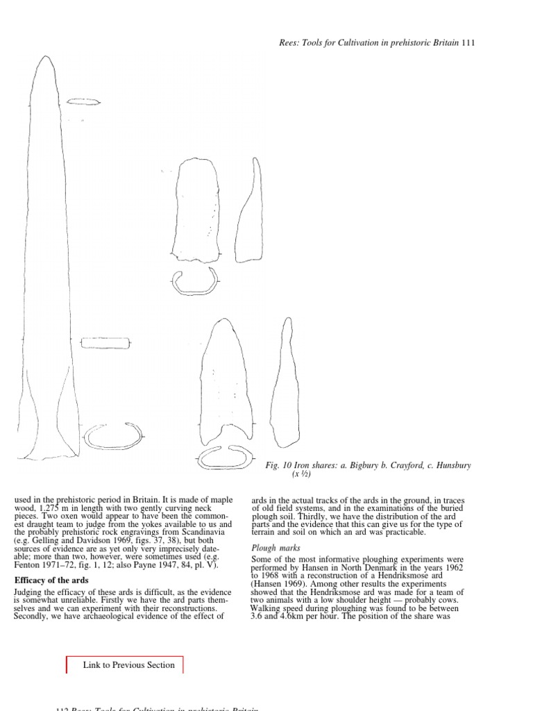 Efficacy of Prehistoric Ards in Britain | PDF | Plough | Archaeology