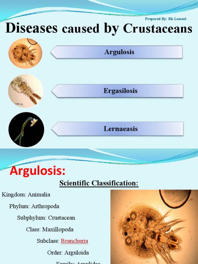 05 Crustacean Diseases | PDF | Fish | Crustacean