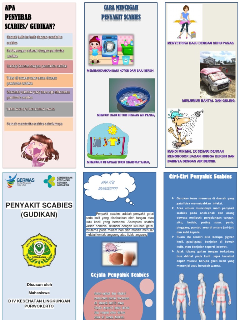 Leaflet Scabies | PDF