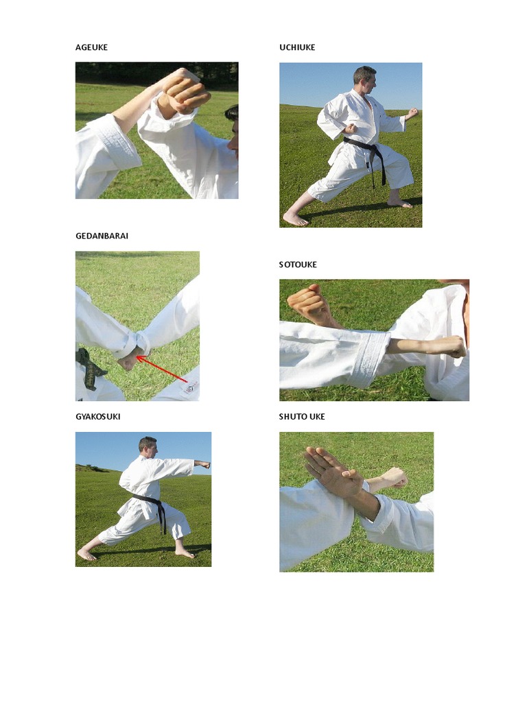 1 Defensas Basicas de Karate 3 | PDF