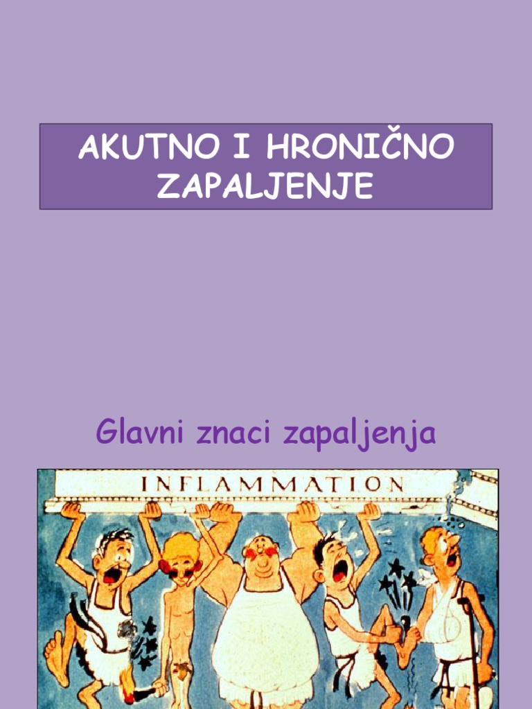 Akutno I Hronicno Zapaljenje I Hronicne Inflamatorne Bolesti 1516 | PDF
